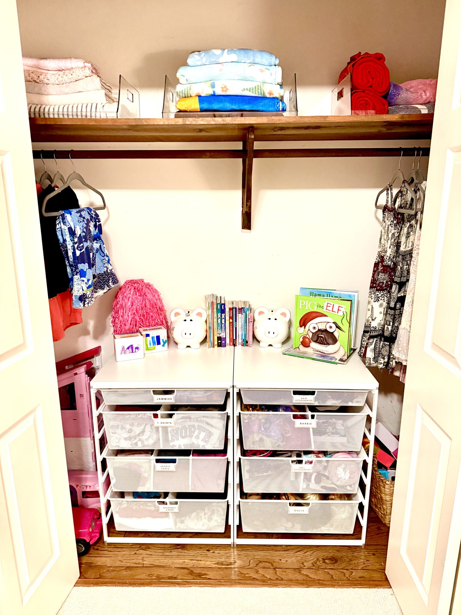 The Container Store Elfa: A Comprehensive Guide To Getting Organized ...